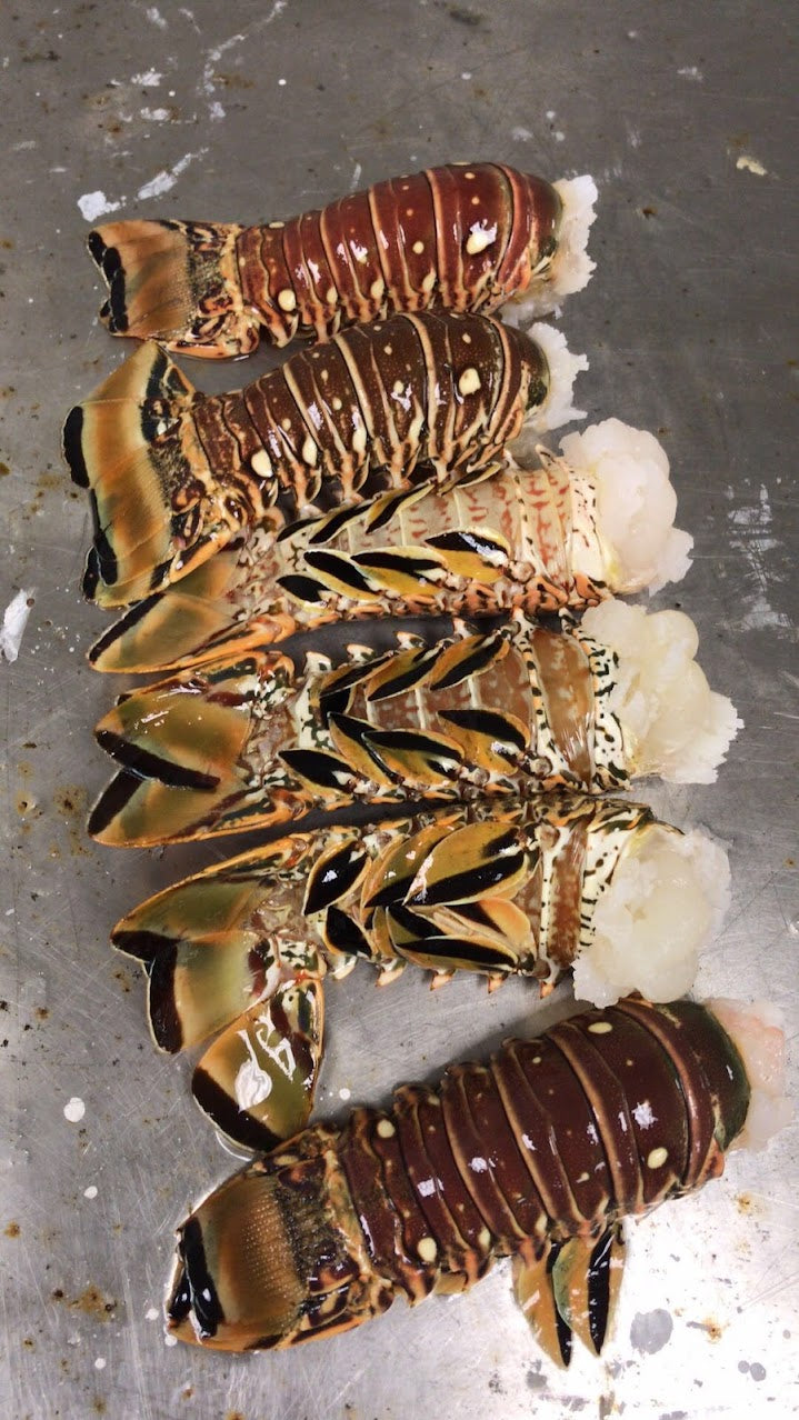 Caribbean Lobster Tails – 6 oz Each (12-Pack) | Flash Frozen | Deliver ...